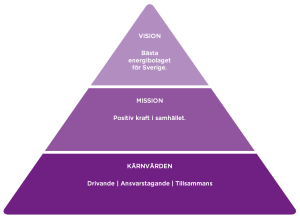Styrning och arbetssätt - Skellefteå Kraft